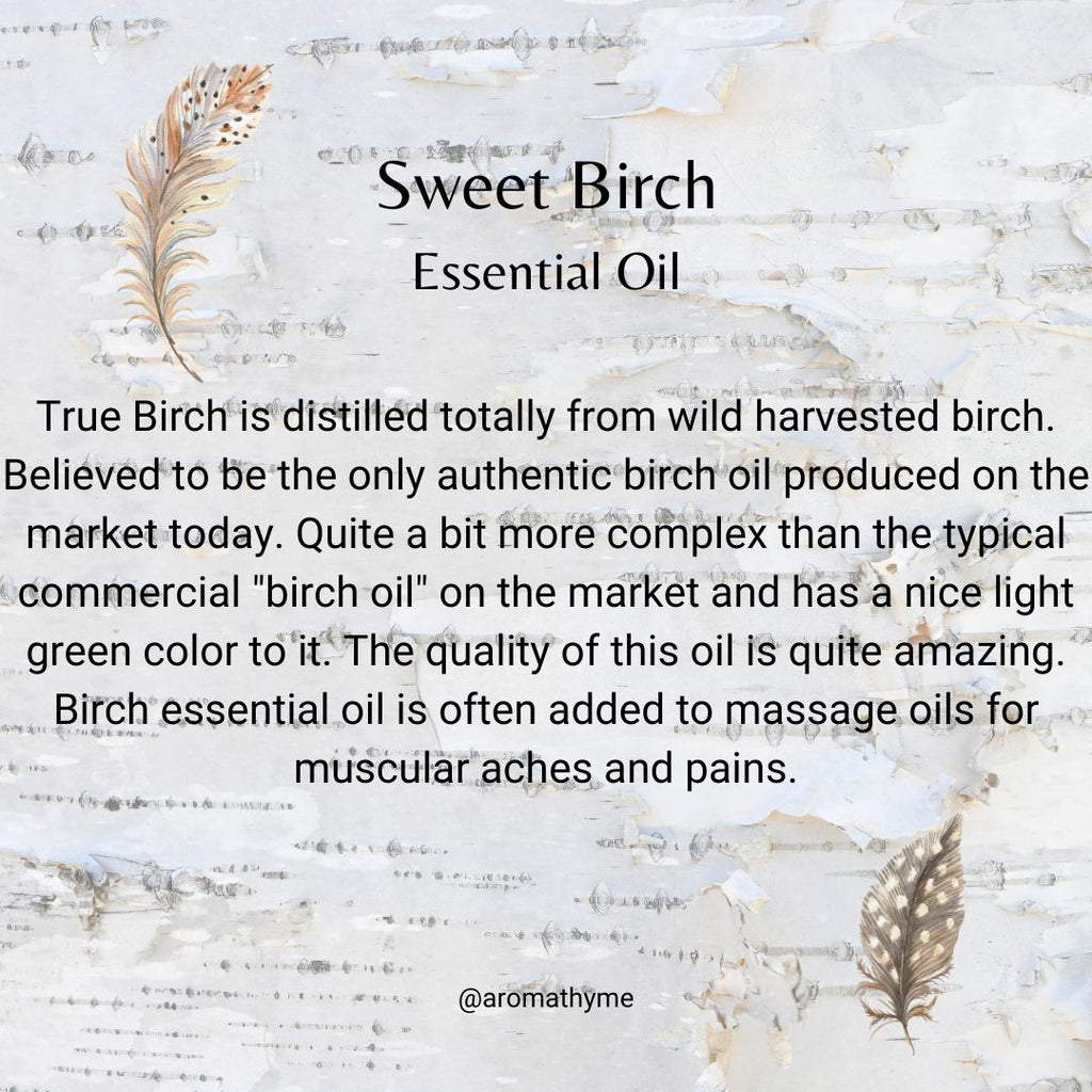 Birch Sweet (True) Wild Harvest Essential Oil – Aroma Thyme Aromatherapy